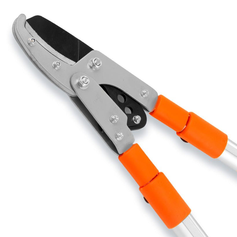 The Ultra Large Tree Lopper | Shop Kleva Range Today – Kleva Range ...