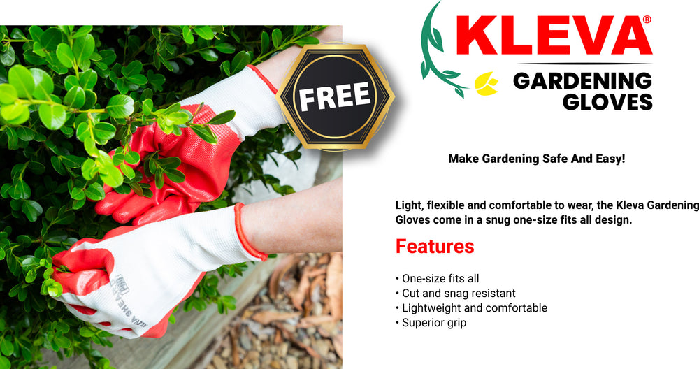 Kleva Precision Pruners + 6 in 1 Sharpener Buy 1 Get 1 FREE - Kleva Range – Kleva Range ...