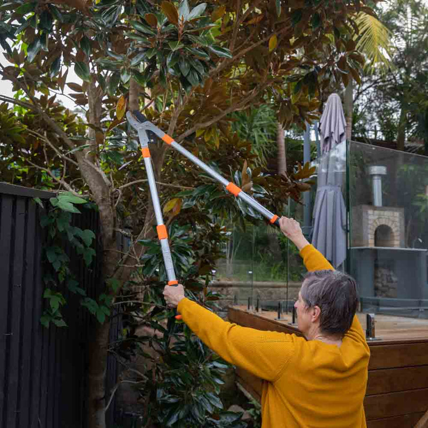 The Ultra Large Tree Lopper | Shop Kleva Range Today – Kleva Range ...