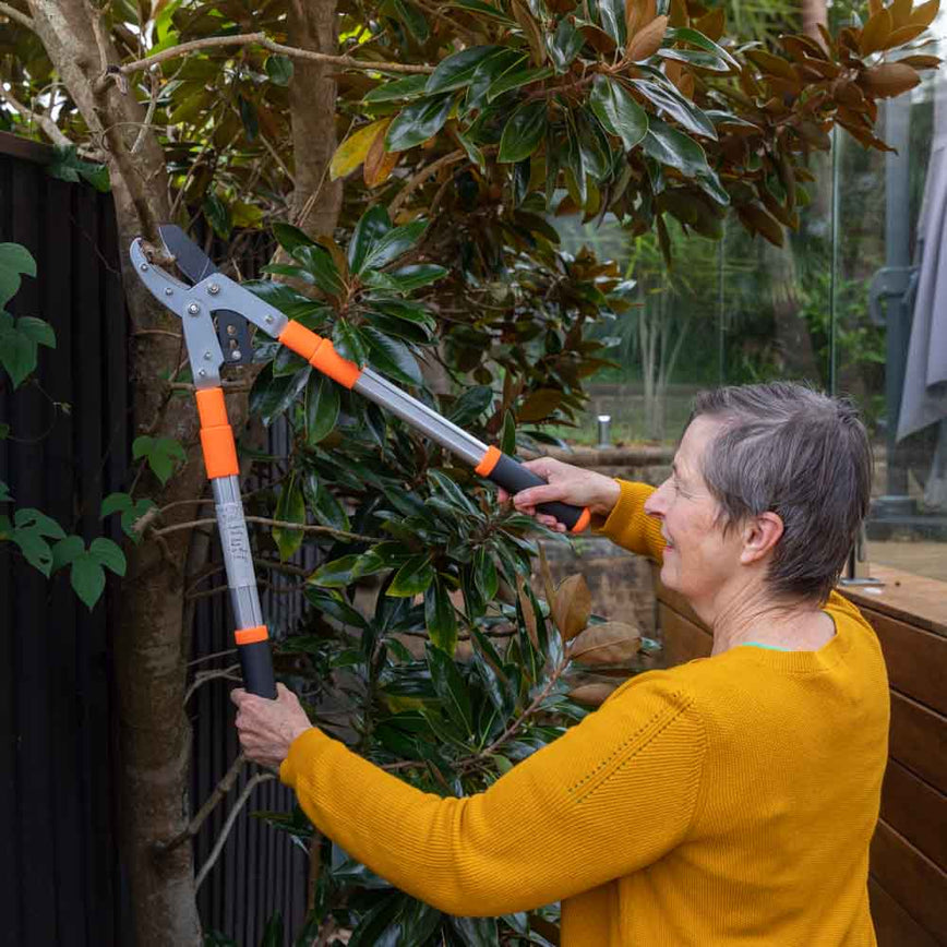 The Ultra Large Tree Lopper | Shop Kleva Range Today – Kleva Range ...